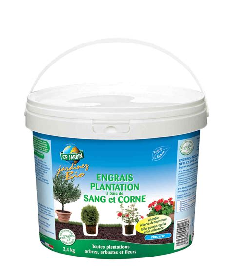 Hydrangea Arborescens Plantation Entretien Et Taille