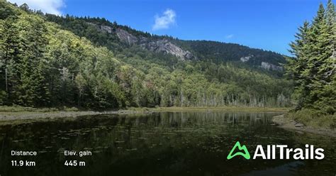 Austin Brook Trail New Hampshire 29 Reviews Map Alltrails