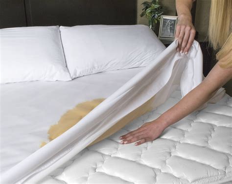 Mattress Or Box Spring Protector 8 11 Depth Zippered Waterproof