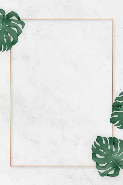 Premium Vector Blank Rectangle Monstera Frame Vector