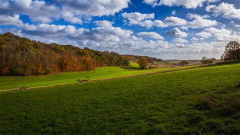 Wallpaper Meadow Trees Forest Grass Sky Landscape Hd Picture Image