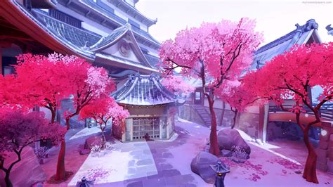 Pc Cherry Blossom Live Wallpaper Free Animated Desktop Background