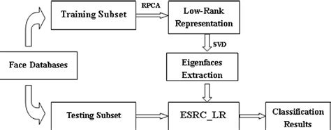 Figure 2 From Low Rank And Eigenface Based Sparse Representation For