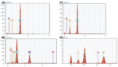 Bioengineering Special Issue Engineering Biodegradable Implant