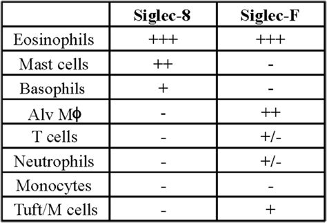 Comparison Of Cellular Surface Expression Patterns For Siglec 8 And Download Scientific Diagram
