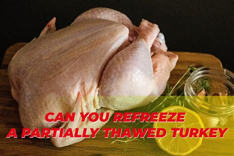 Can You Refreeze Partially Thawed Turkey Monkey Business