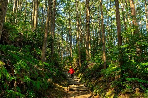 Japan Kumano Kodo Walking Tour October 2025 International Adventures Adventurous Women ®️