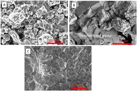 Sem Images Illustrating The Typical Micrite Microtextures In The Three Download Scientific