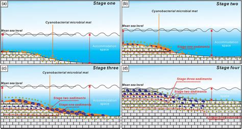 Depositional Process Of Oncolitic Oolitic Limestone During The Forced