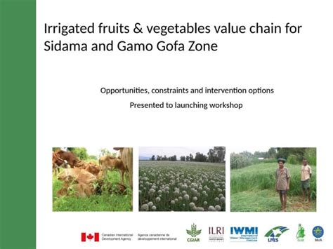 Commodities Value Chain And Intervention Areaspptx