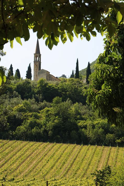 Colli Berici A Hidden Gem In The Veneto Region