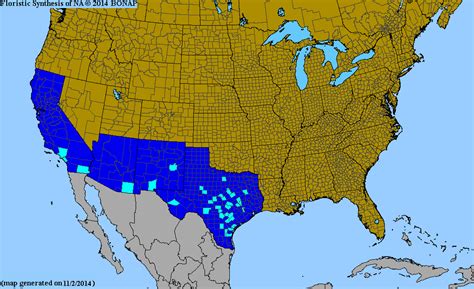2013 Bonap North American Plant Atlas Taxonmaps