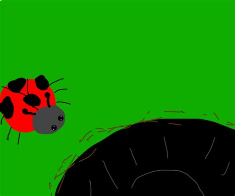 Grasshopper Digging Drawception