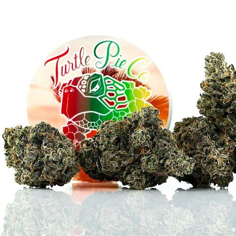 Turtle Pie Co Turtle Pie Co Strawberry Melon Leafly