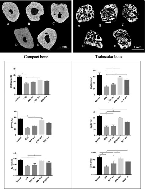 Micro Ct Analysis Of Different Experimental Groups 60 Days After