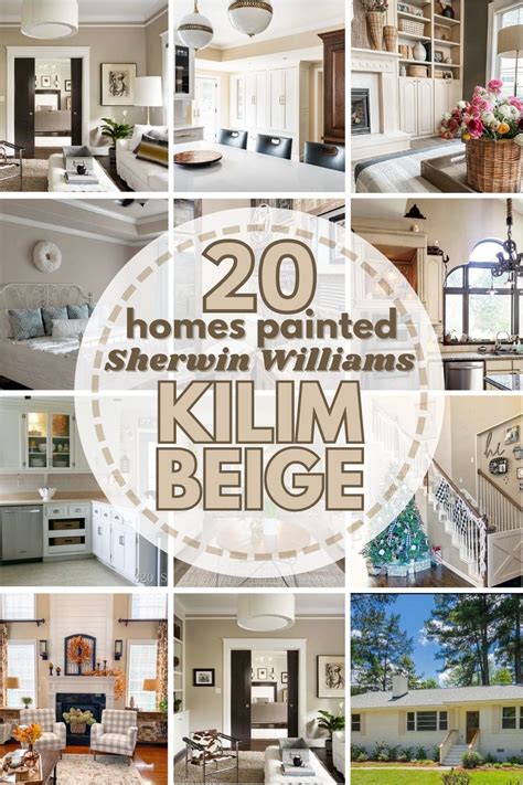Sherwin Williams Kilim Beige 6016 Best Review Pics