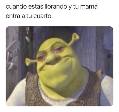 Cuando Estás Llorando Y Tu Mamá Entra A Tu Cuarto Memes