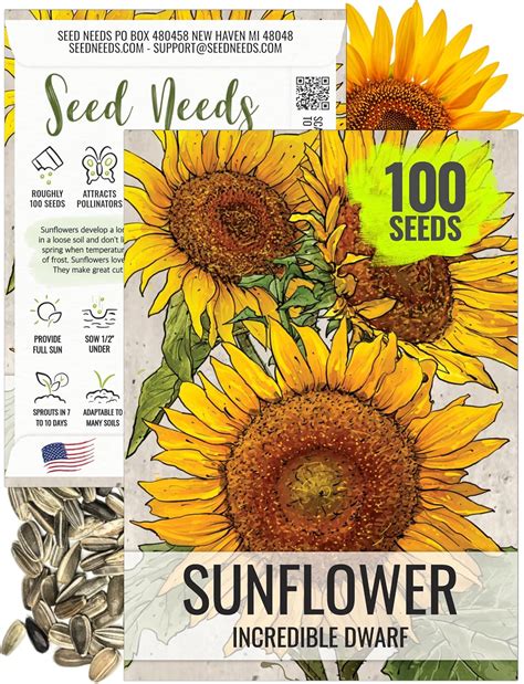 Seed Needs Dwarf Sunflower Seeds For Planting Incredible