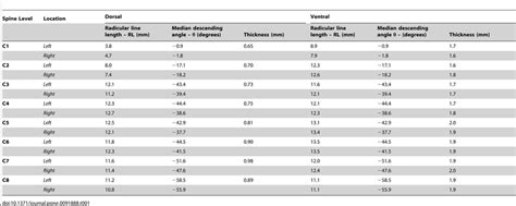 Summary Of Spinal Cord Nerve Root Measurements Utilized In The 3d Model