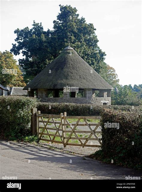 The Cock Pit Thatched Cockerel Fighting Building St Fagans Museum Cardiff Taken 2023 Stock
