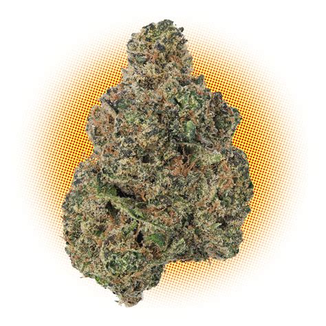 Sex Panther Thca Flower