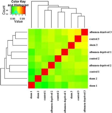 Correlation Between Biological Replicates Heat Map Of Spearmans Download Scientific Diagram