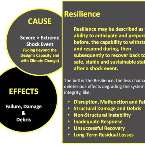A Very Basic Model Idealisation Of The Coping Cycle Download
