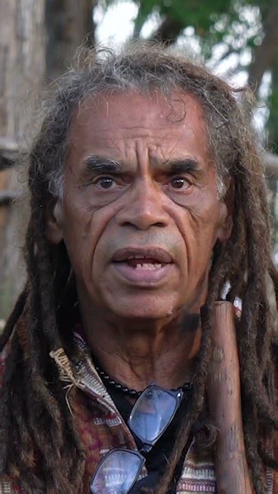 Why Is Nsw Still Logging The Great Koala National Park Uncle Micklo Youtube