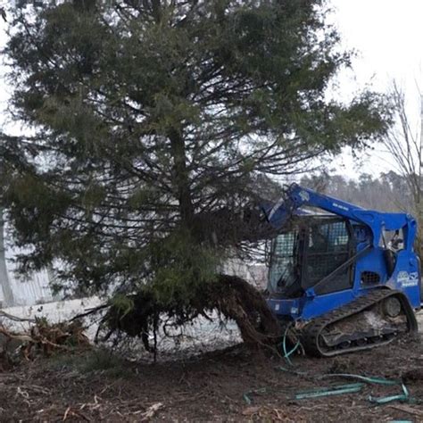 Tree Puller Blue Diamond