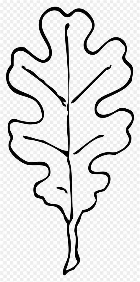 Oak Tree Leaf Outline