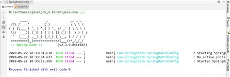 Springbatch自学之路 02（如何搭建一个springbatch项目）idea Spring Batch Csdn博客