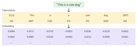 一文带你搞懂大模型中bert的embedding到底是个什么？看完小白也懂了！embedding和大模型的关系 Csdn博客