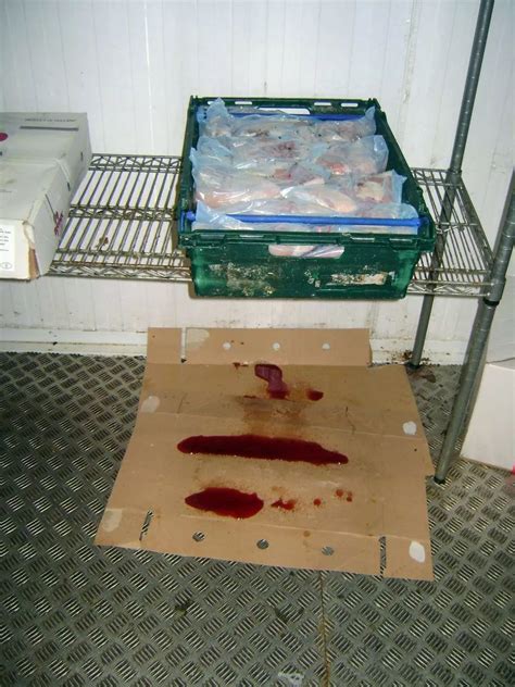 Inside Cockroach Infested Chesters Takeaway On Lime Street Liverpool Echo