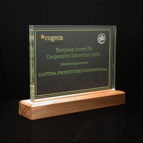 Gegraveerde Of Bedrukte Awards In Plexi P De Greef Medals