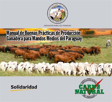 Manual De Buenas Practicas Ganaderas Mandos Medios Manual De Buenas