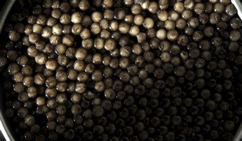 Quelle Est La Signification De La Couleur Dun Caviar