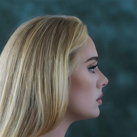 Meaning Of ‘skyfall By ‘adele Sound Sifter Music