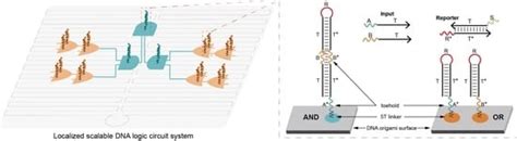 A Localized Scalable Dna Logic Circuit System Based On The Dna Origami