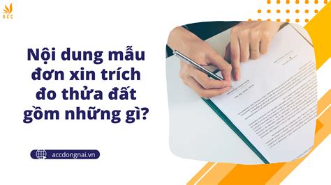 Mẫu đơn Xin Trích đo Thửa đất