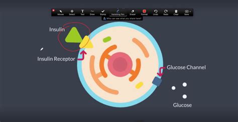 Highlight Your Screen With Zoom Annotations Information Technologies