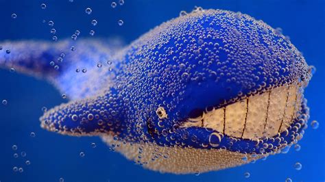 Dockerfile に Apt Apt Get Source コマンドを書く時のtips Nfig Tech Blog