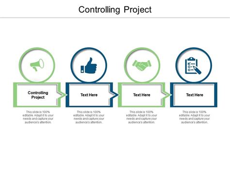 Controlling Project Ppt Powerpoint Presentation Infographic Template Infographic Template Cpb