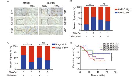 Metformin Treatment Improves Clinical Outcomes Of Patients With Download Scientific Diagram