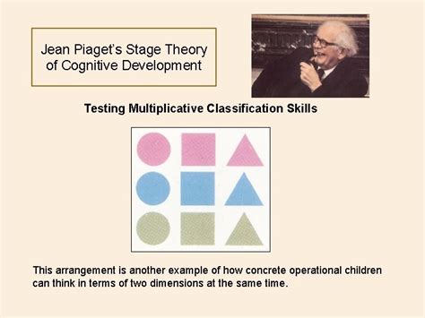 Jean Piagets Stage Theory Of Cognitive Development Basic