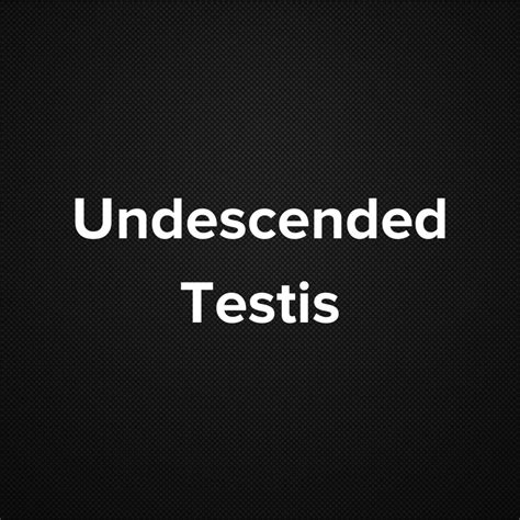Undescended Testes Ectopic Testicles Cryptorchidism Moho
