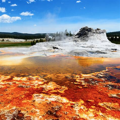 Gruesome Fatal Fall Yellowstone
