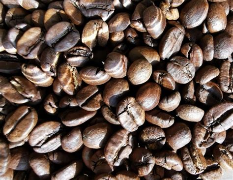 Кофе Бразилия Желтый Бурбон: купить свежий кофе в Москве | Coffee Planet