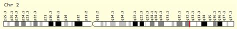 Slc39a10 Gene Genecards S39aa Protein S39aa Antibody