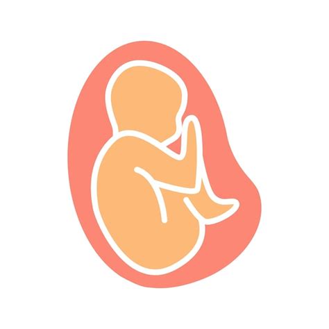 Ícone Do Conjunto Do Feto Gravidez Do Feto Humano Desenvolvimento Do Embrião Crescimento Pré