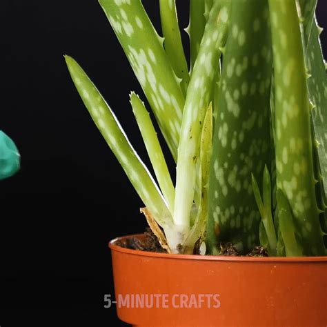 Charles Loths Instagram Twitter And Facebook On Idcrawl